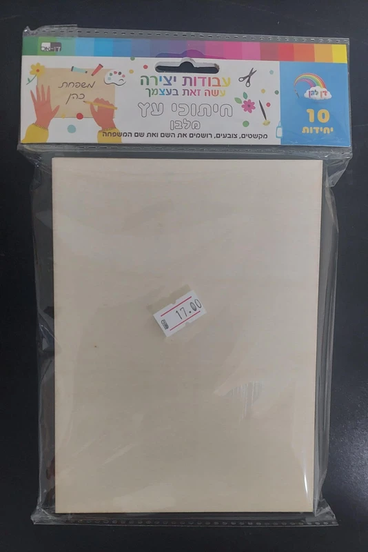 10 חיתוכי עץ מלבן ליצירה 16X12 סמ